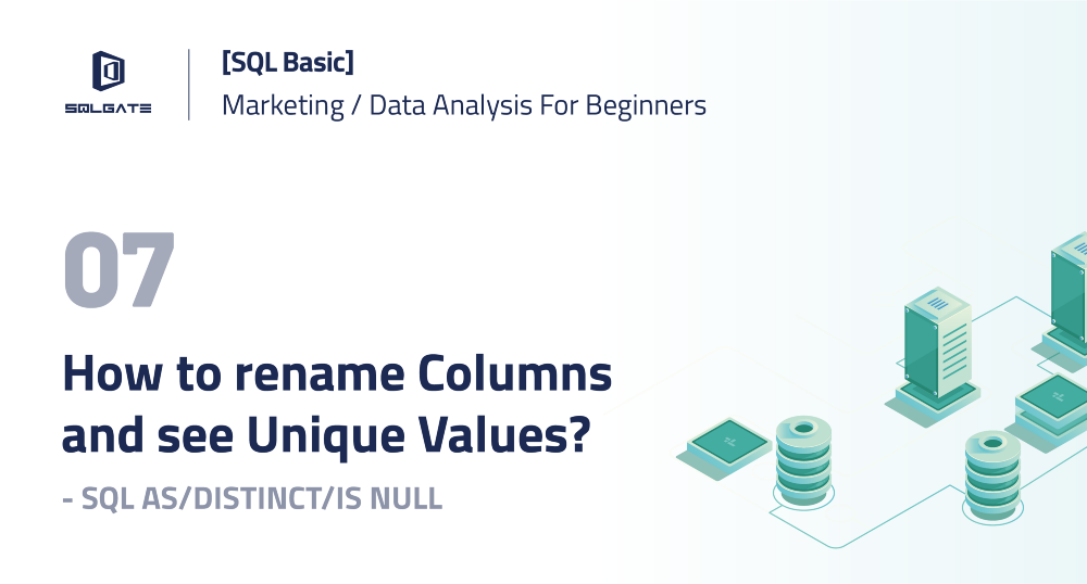 Sql Basic How To Rename Columns And See Unique Values — Sql Asdistinctis Null